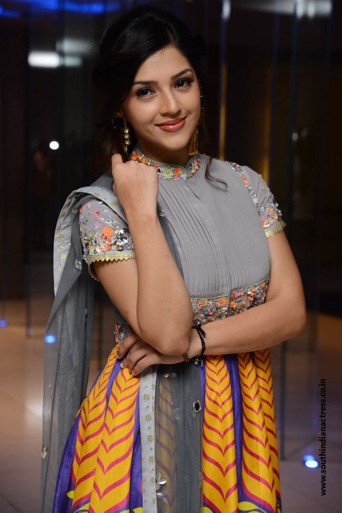 Mehreen Pirzada at Raja At The Great Success Meet - South Indian Actress