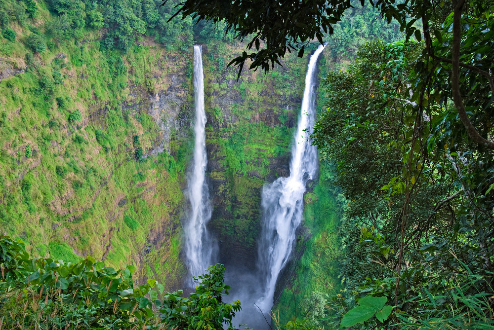 The Biggest World: Bolaven Plateau & Tad Fane Waterfall