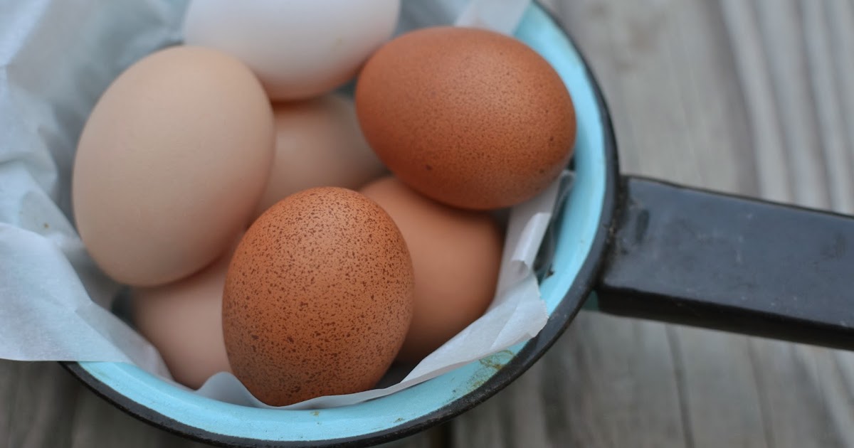Our Neck of the Woods: Feathered Friend Friday: Pretty Pullet Eggs