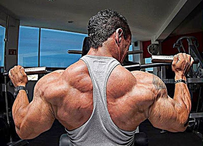 world bodybuilders pictures: bodybyuilder Manuel Lomeli El Charro