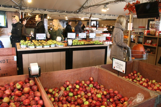 Toronto Fun Places: This Pumpkinland puts the "more" in Whittamore's Farm!