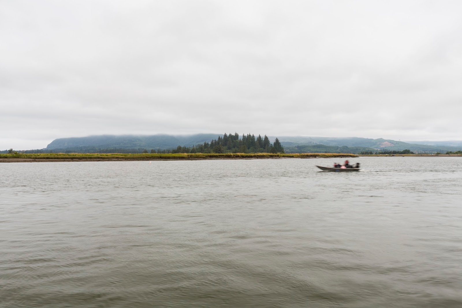 Naturetastic Blog: Wheeler - Oregon Coast