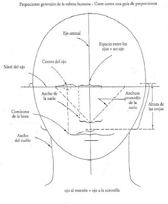 LA PROPORCIÓN DEL ROSTRO