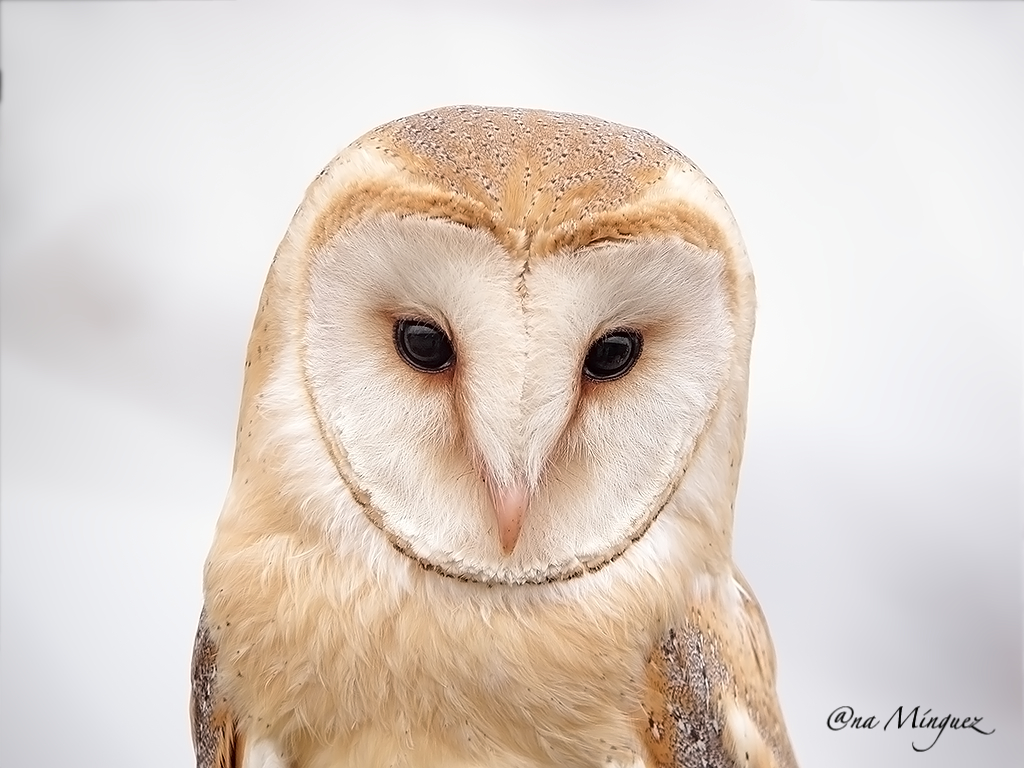 NATURANAFOTOS: Retratos natura/Portraits