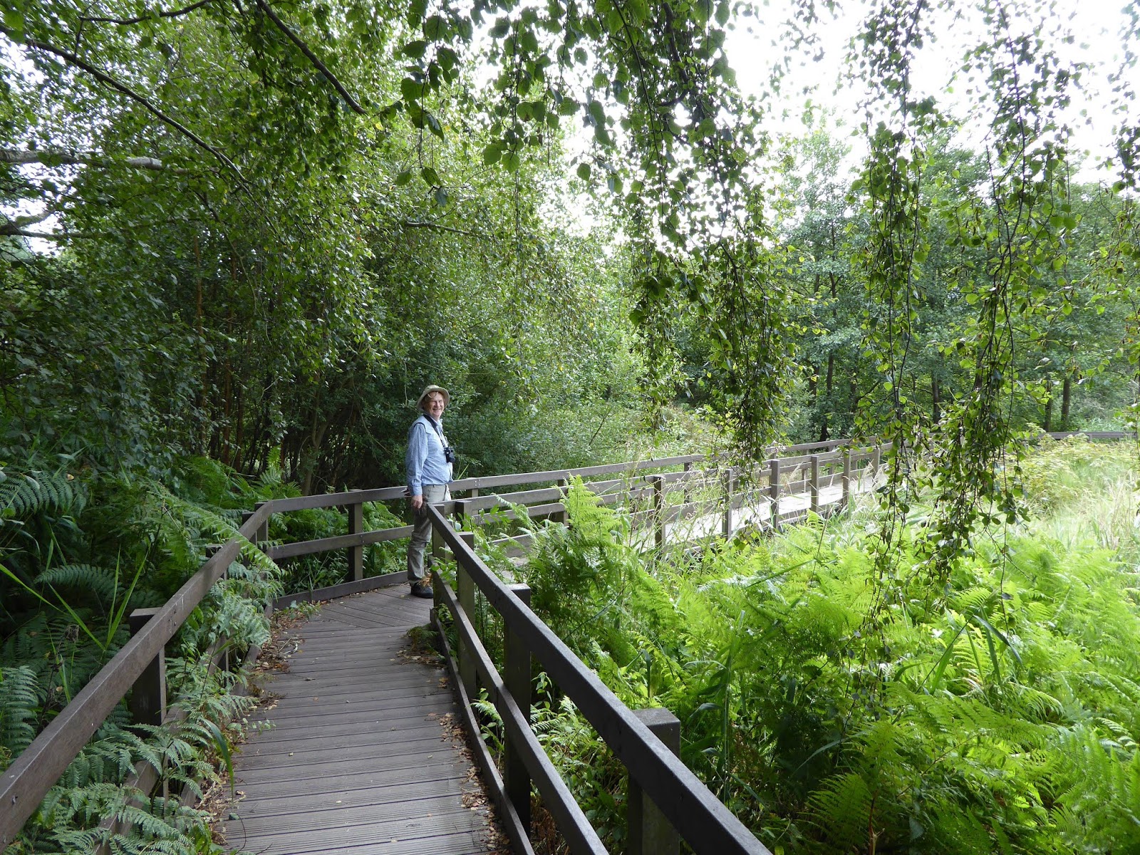 Wild and Wonderful: Lound Lakes, Southwold Beach and A Pair of Late ...