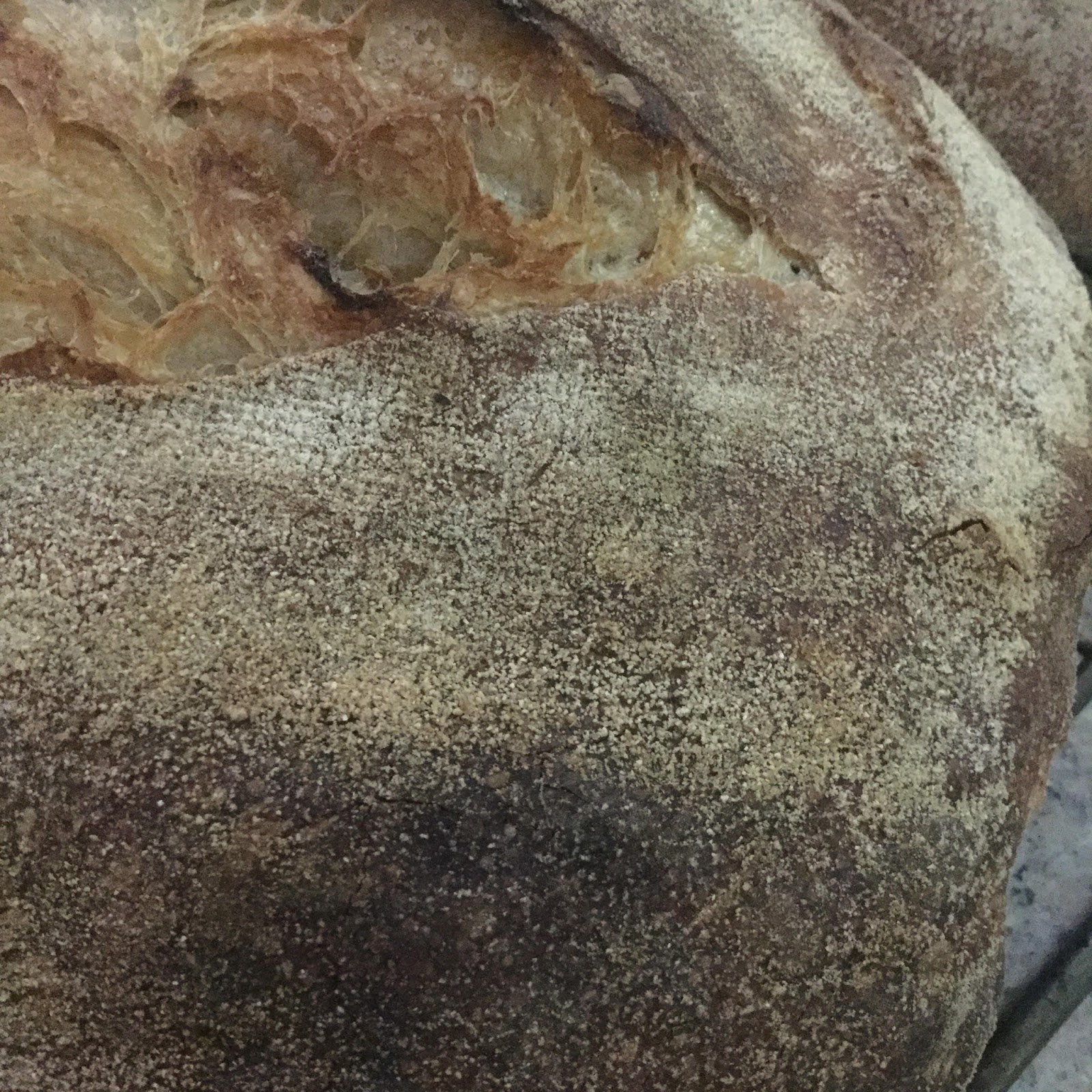 COCINAR PARA LOS MIOS: PAN DE MASA MADRE CON T 80 DE ROCA