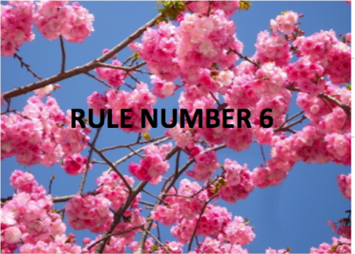 Mirror My Manifest: DONT FORGET - RULE NUMBER 6