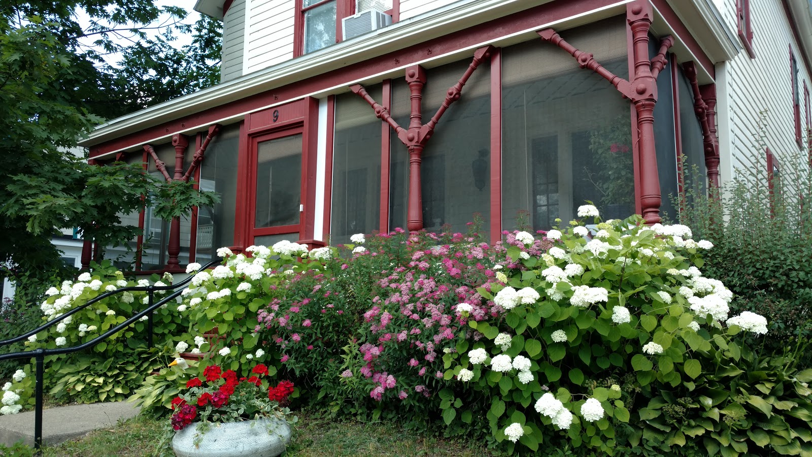 Roving Reports by Doug P: 2016-18 Lilly Dale, Upstate New York