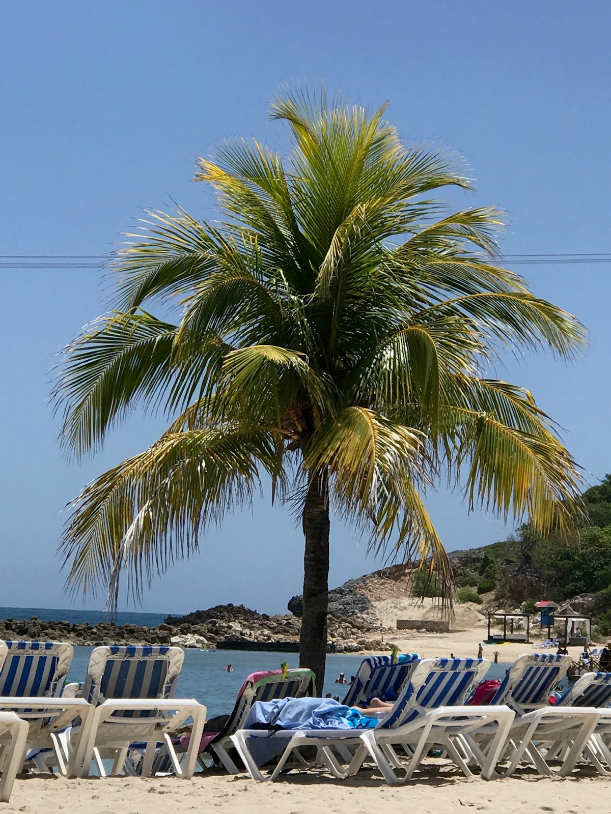 A Bob's Life: A Day in Haiti