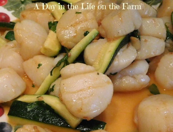 A Day in the Life on the Farm: Scallops with Garlic and Cilantro # ...