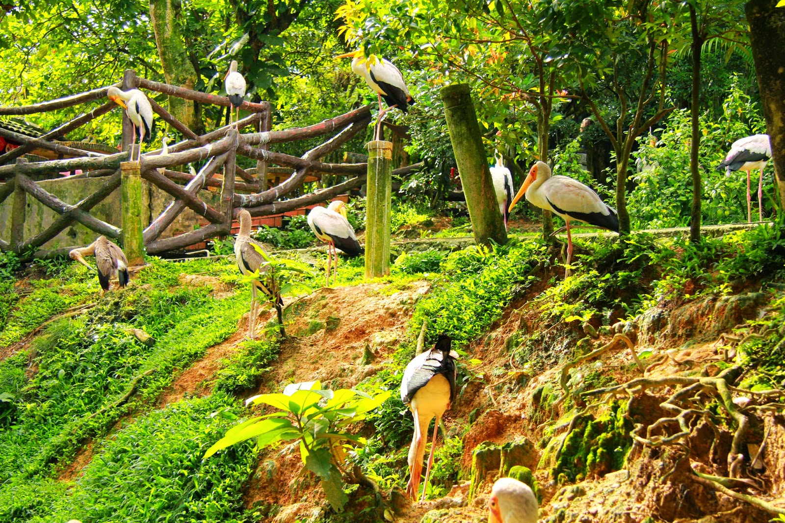 Hebat Taman Burung Kuala Lumpur