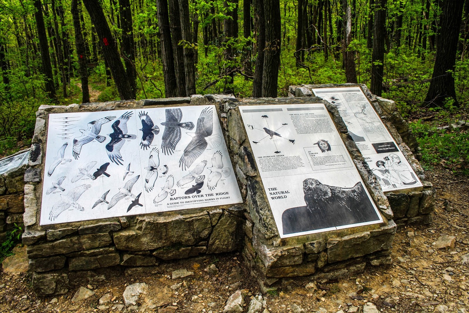 Natural Mid-Atlantic : Hawk Mountain Sanctuary - River of Rocks Circuit ...