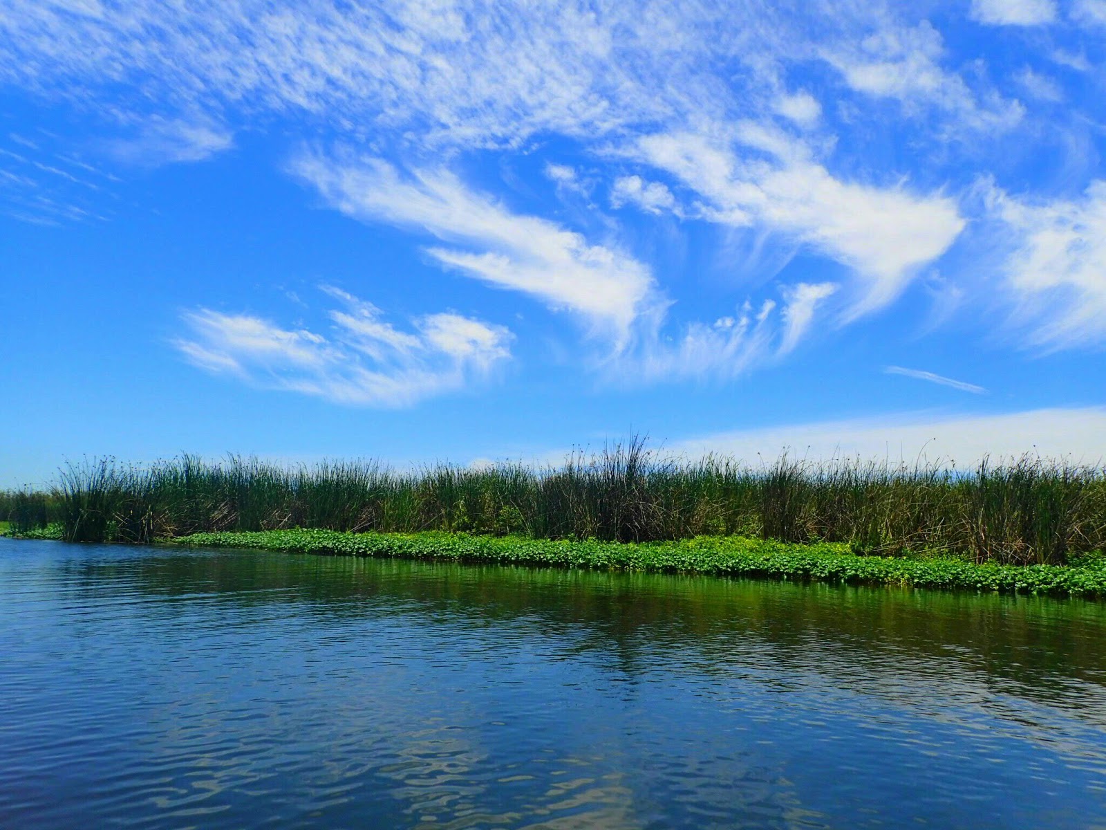 Kayaking the California Delta: Middle River & Little Mandeville Island