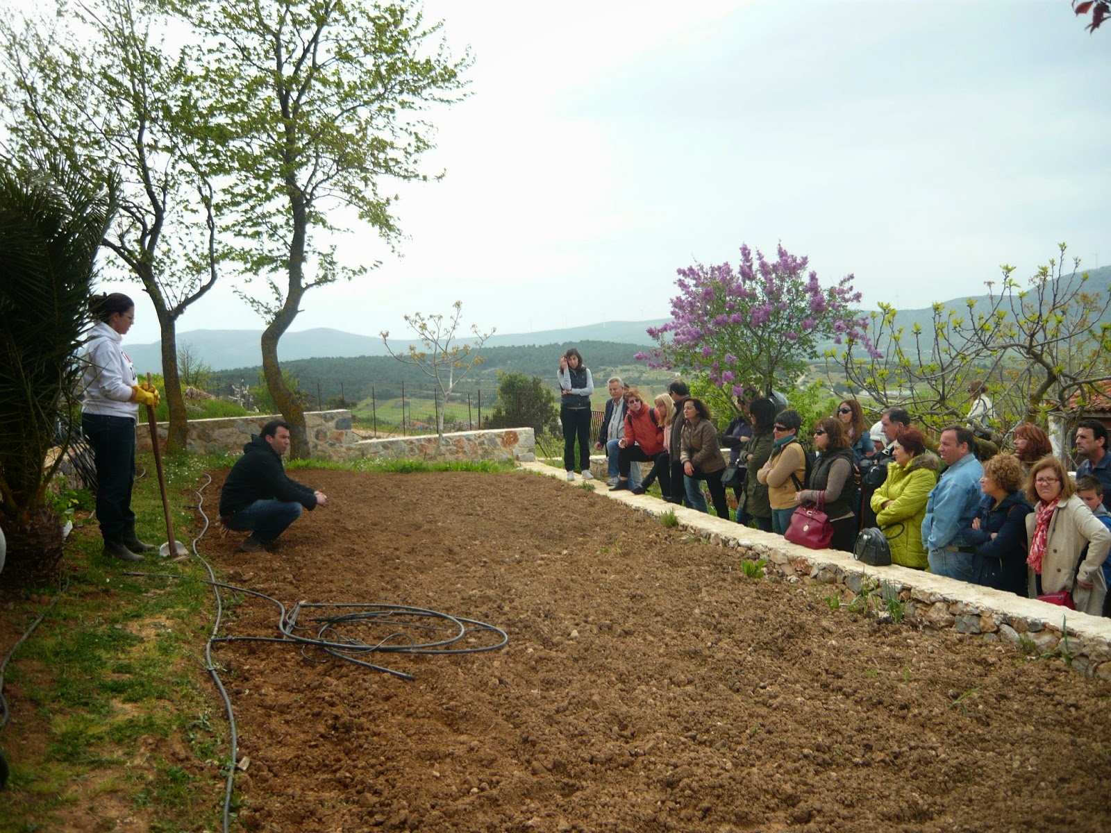 ΣΧΟΛΙΚΟΙ ΛΑΧΑΝΟΚΗΠΟΙ : ΟΙ ΚΗΠΟΙ ΤΩΝ ΣΧΟΛΕΙΩΝ ΤΗΣ Δ/ΣΗΣ Β/ΘΜΙΑΣ ΕΚΠ/ΣΗΣ ...