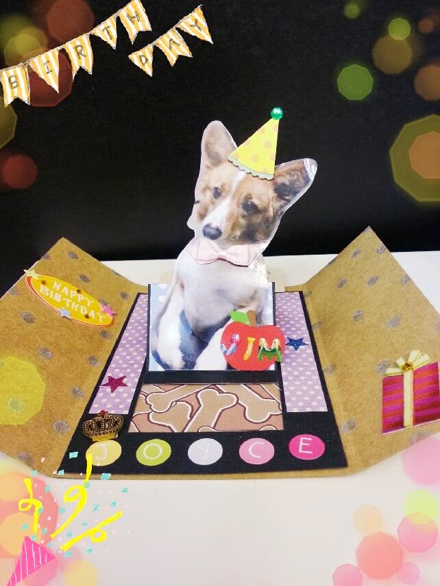 Creammeow Wonderland