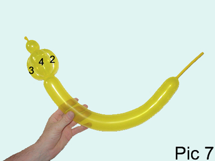 CLASSICAL: Balloon chicken