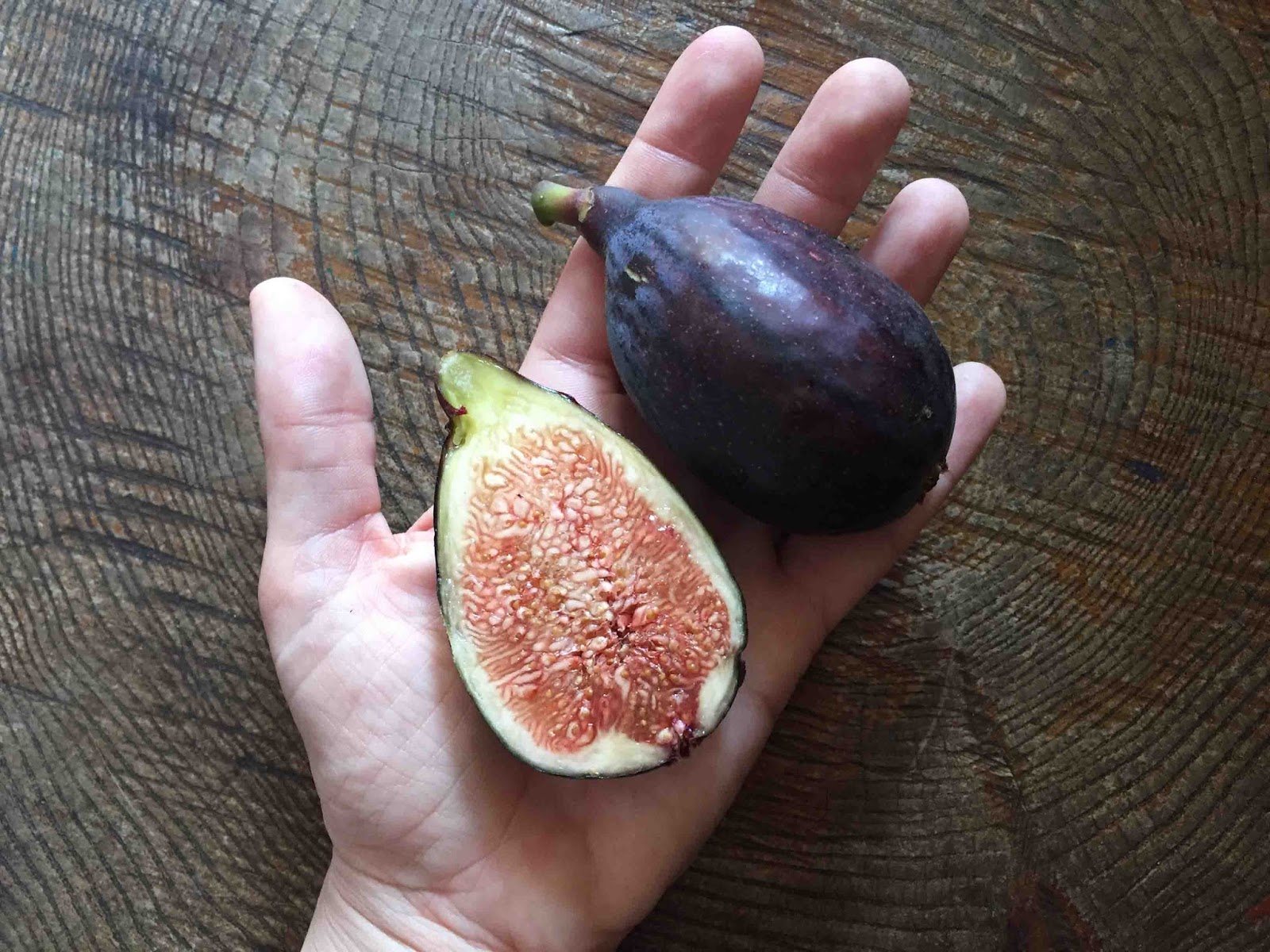 Collares de verano, receta con brevas, libros y patrones para las ...