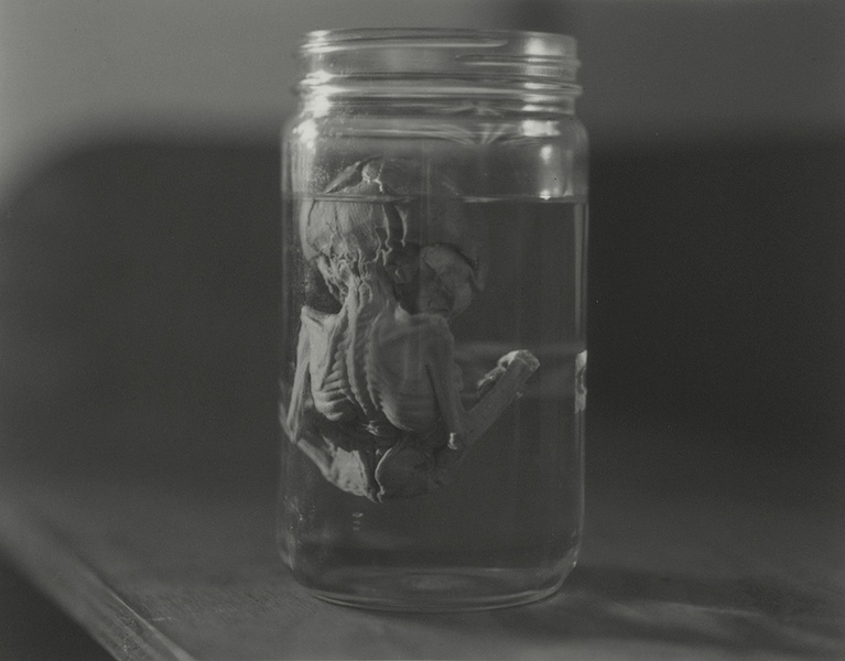 Los Grandes Fotografos: Andrea Modica (1960)