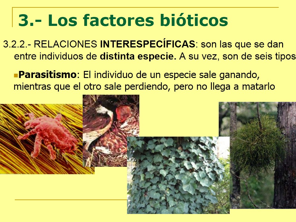FACTORES ECOLOGICOS
