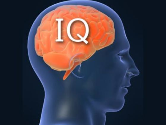 Gould's bias in IQ testing (1982) | Psychology OCR notes