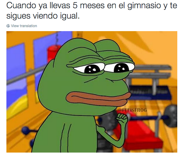 12 memes de la rana Pepe que reflejan perfectamente tu vida | SONRISAS ...