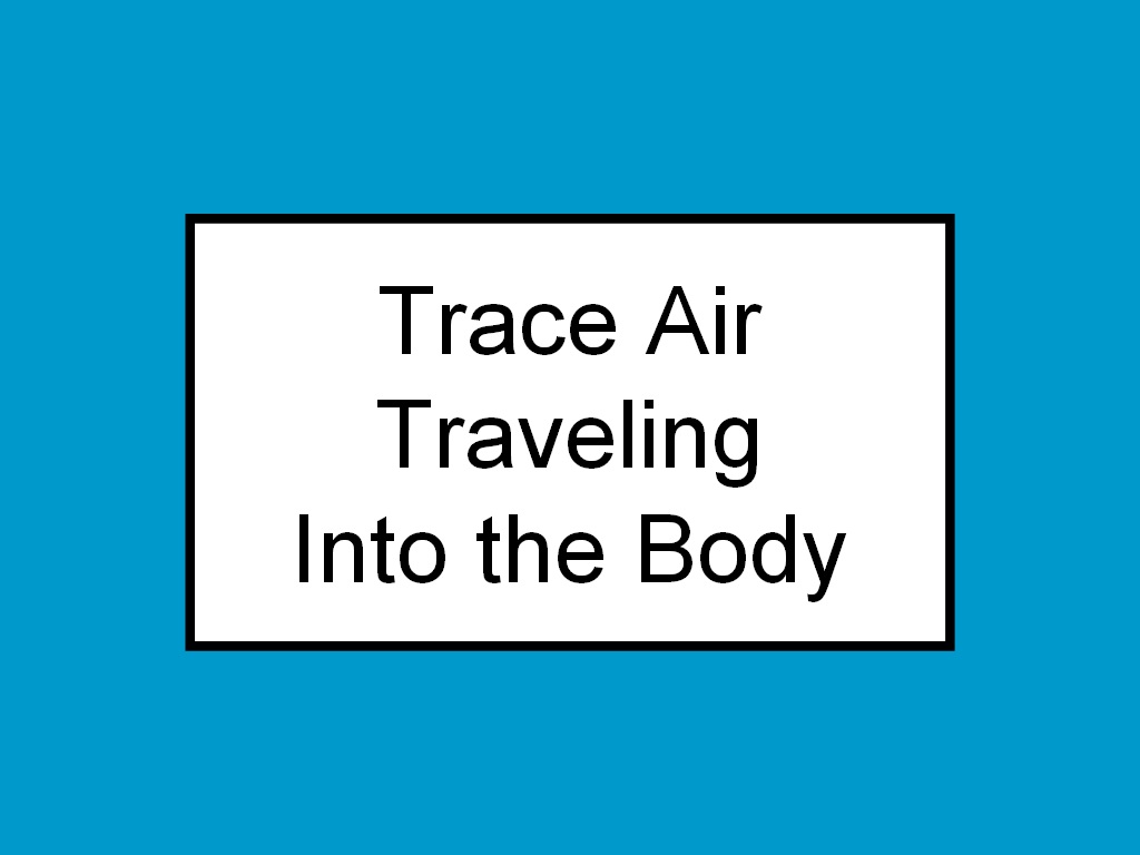 Student Survive 2 Thrive: Trace Air Traveling Into the Body – Major ...