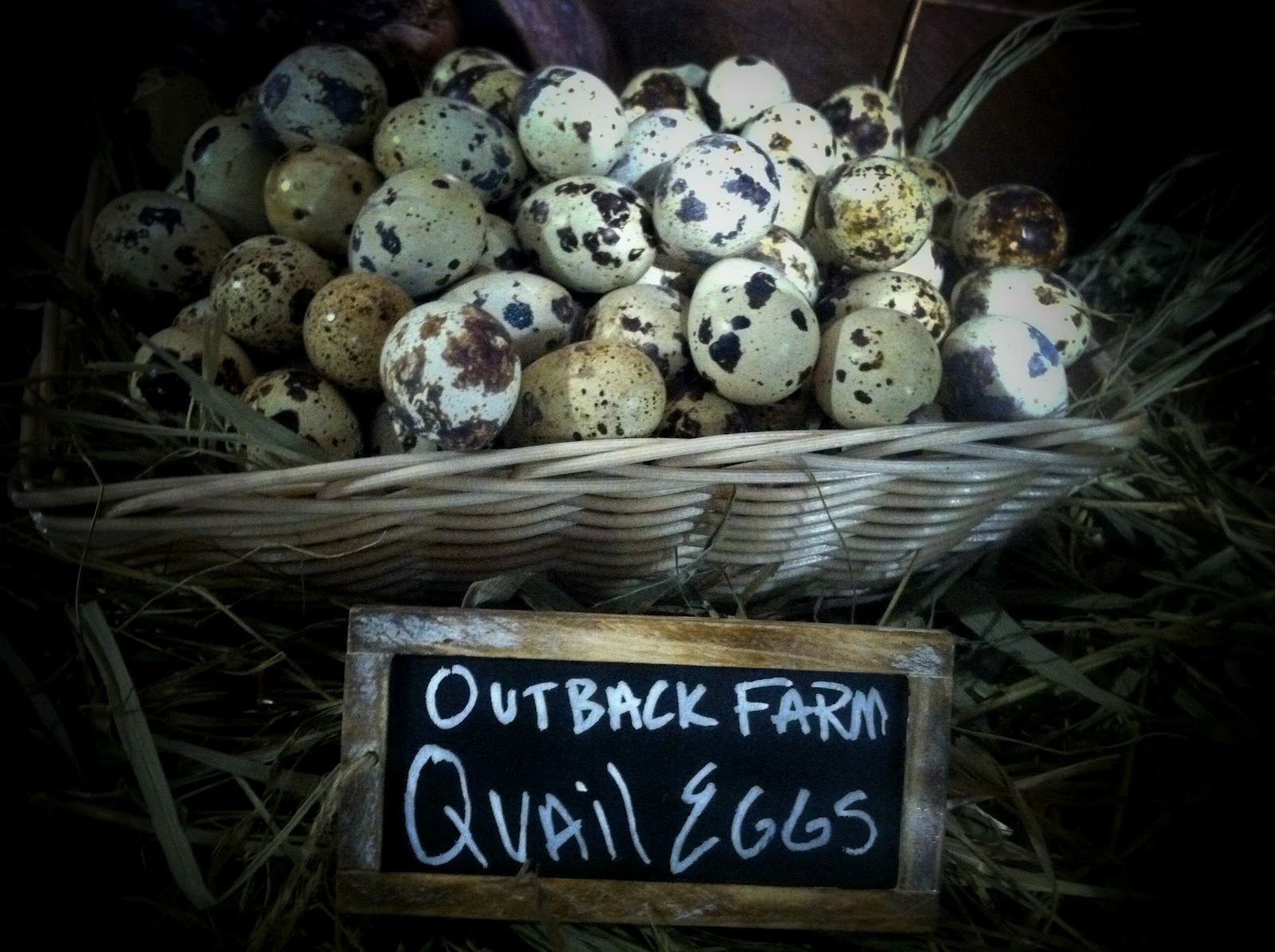 From Rags to Restaurant: Philly Farm and Food Fest
