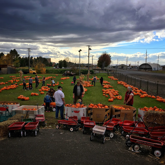 WALLA WALLA DAILY PHOTO As Seen By Susan: FALL FUN @ KLICKER'S