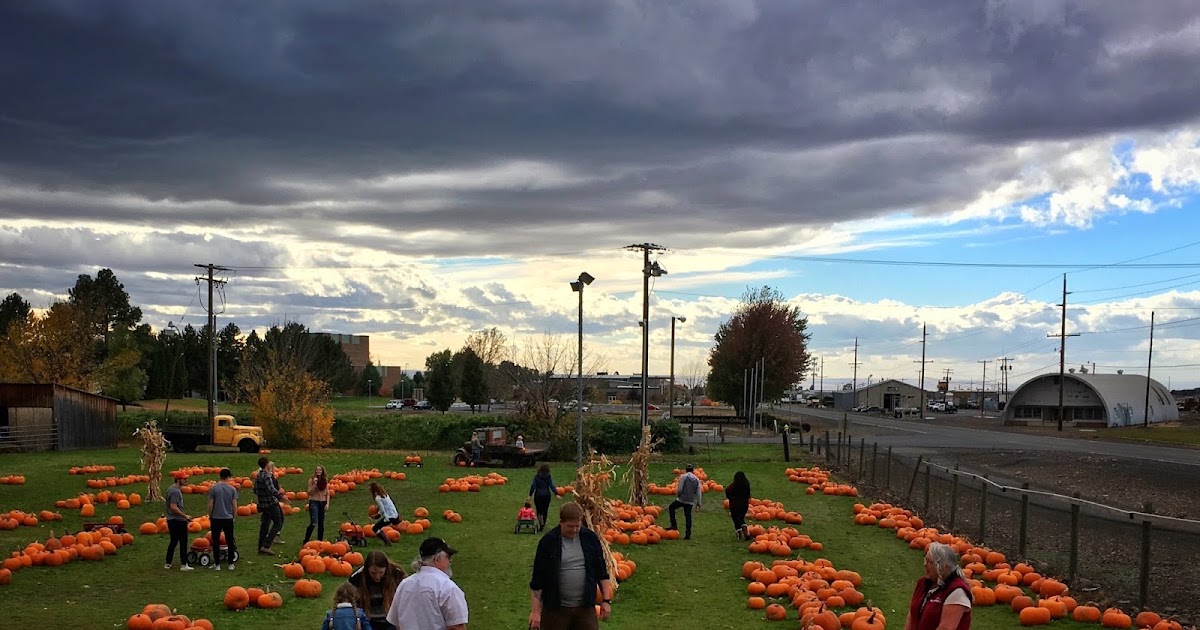 WALLA WALLA DAILY PHOTO As Seen By Susan: FALL FUN @ KLICKER'S