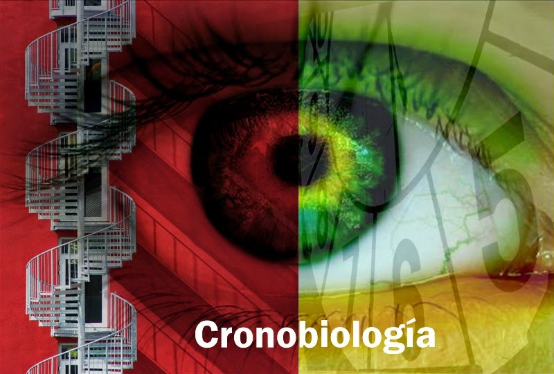 QUEMAGRASA: Nutricion y Dietas: CRONOBIOLOGIA