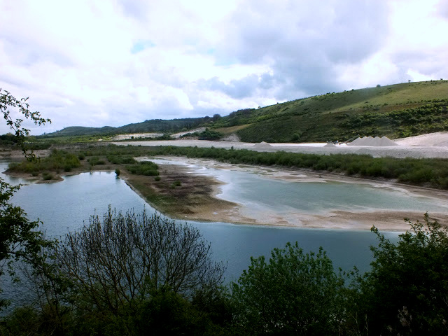 Tick 'n' go Birding: Kentish Plover at Pitstone Quarry.
