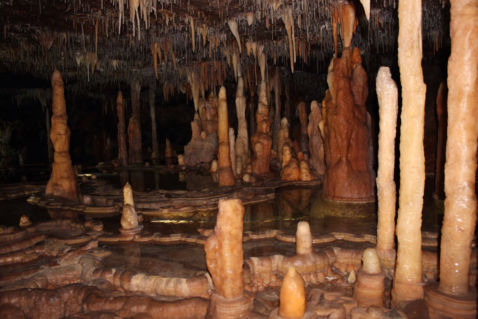 Creating and Educating: Buchan Caves