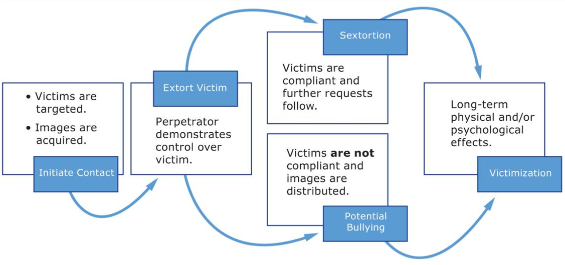 Online sextortion within IoT a cybersecurity and privacy perspective