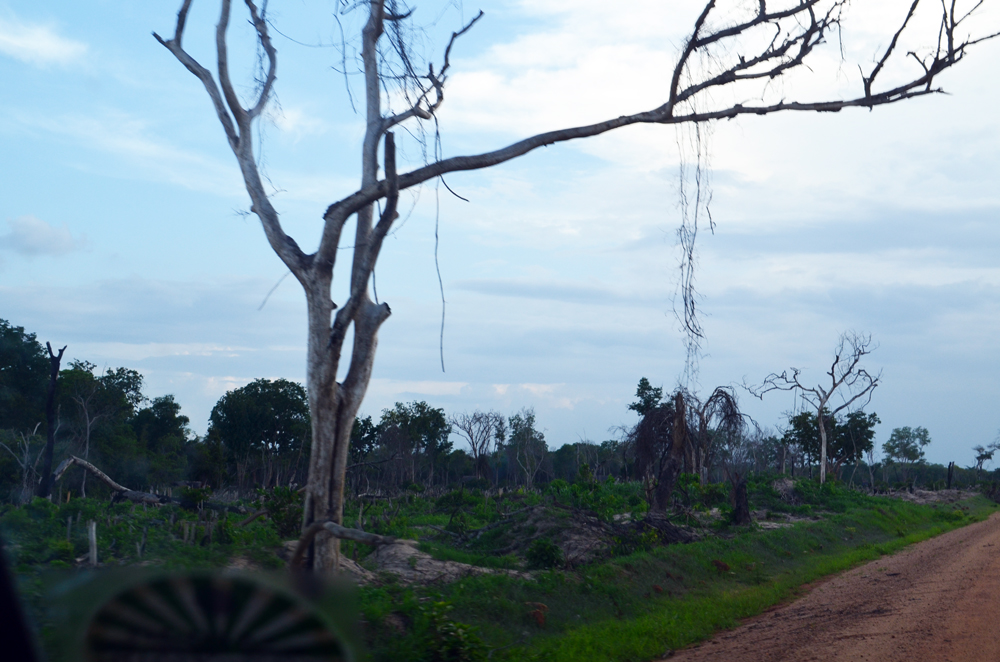 Cape Town To Tanzania: Day 31 Mikadi beach - Liwale