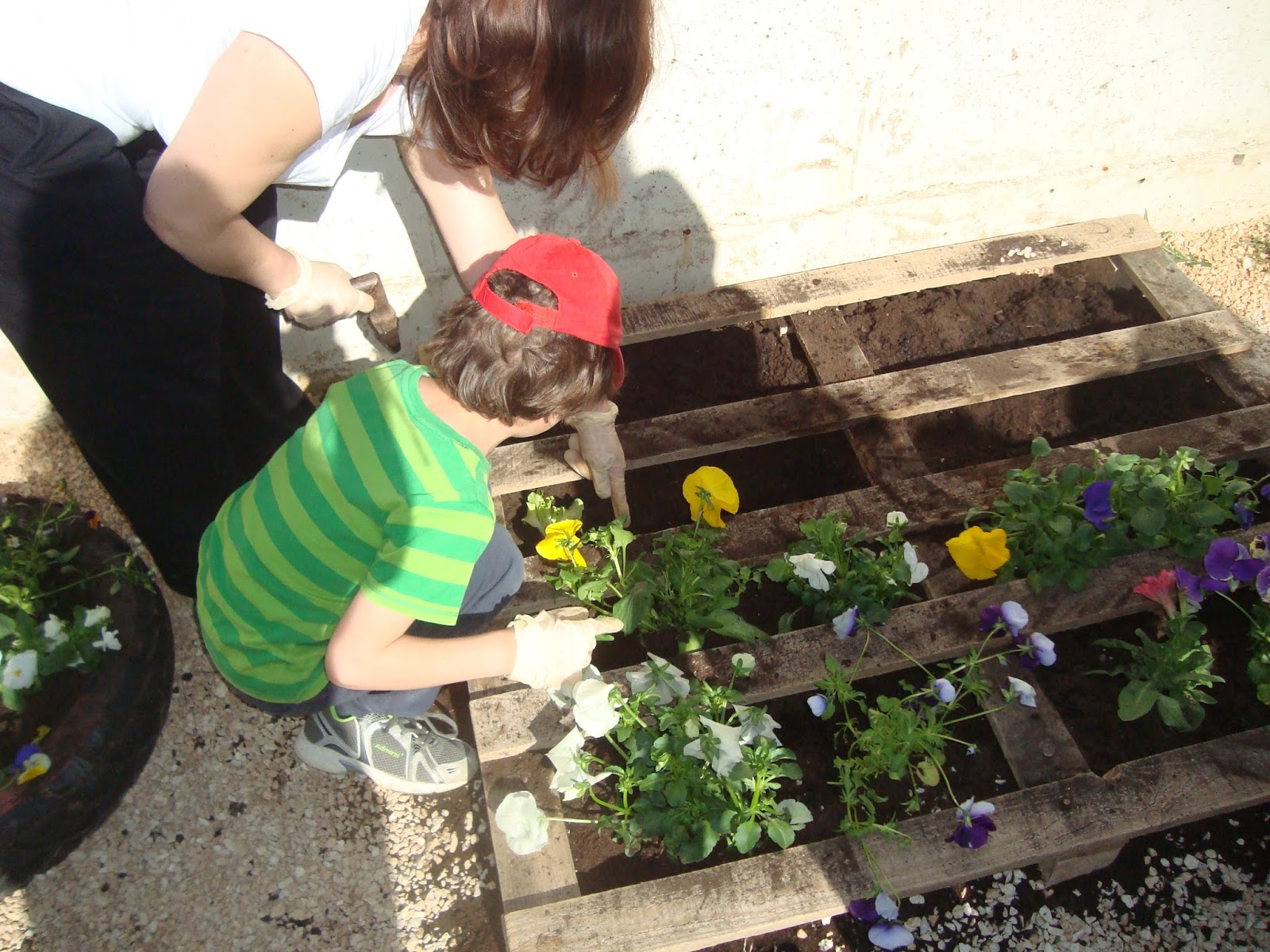 7ο ΝΗΠΙΑΓΩΓΕΙΟ ΙΩΑΝΝΙΝΩΝ -ΤΑ ΝΗΠΙΑ ΤΑΞΙΔΕΥΟΥΝ....: ΜΙΑ ΜΕΡΑ ΠΟΥ ΘΑ ...