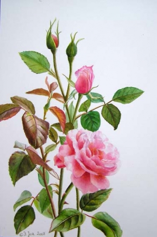 Doris Joa | Watercolor painter | Tutt'Art@ | Pittura * Scultura ...