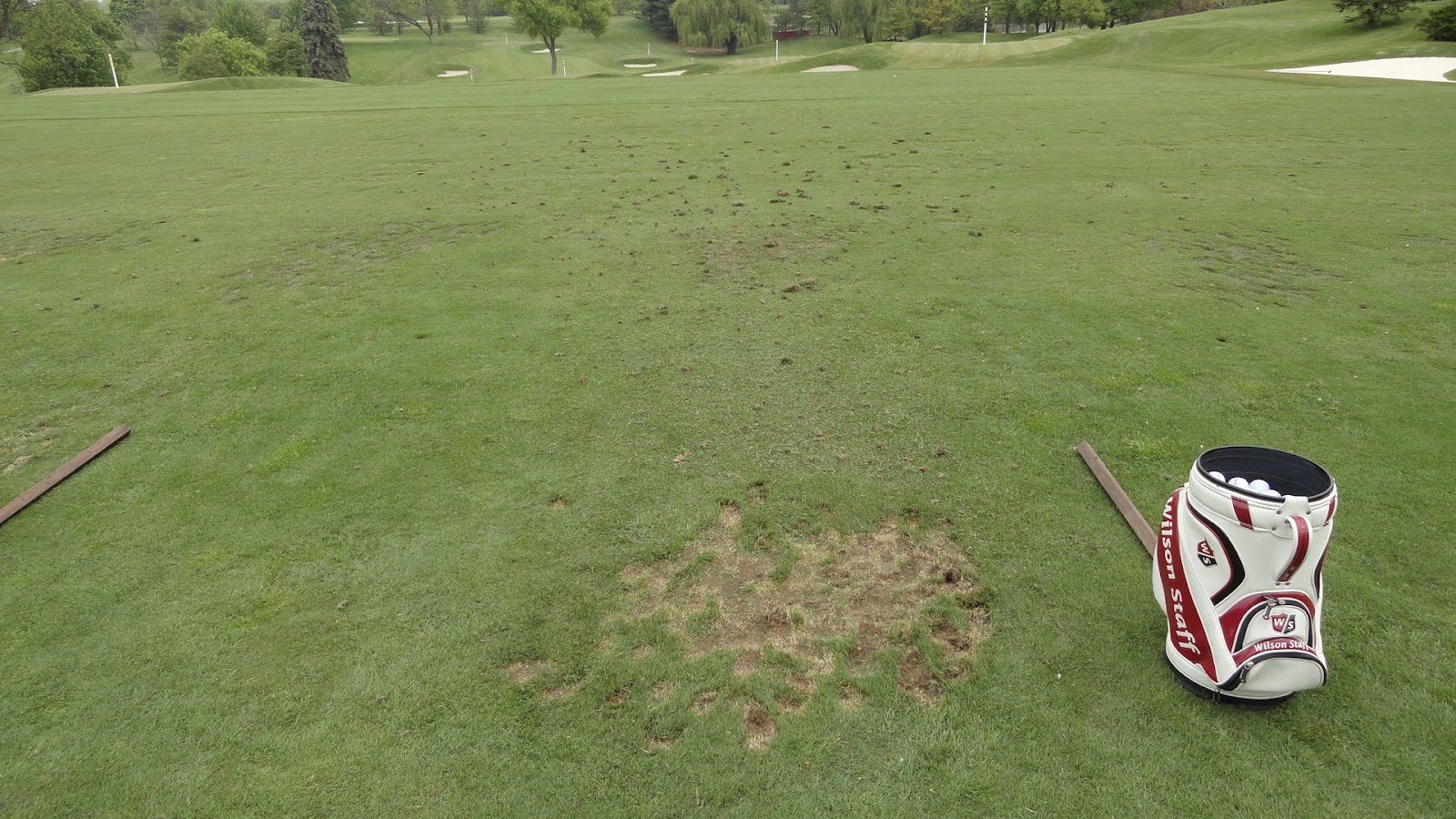 Practice Tee Divot Patterns | Naperville Country Club Green Department