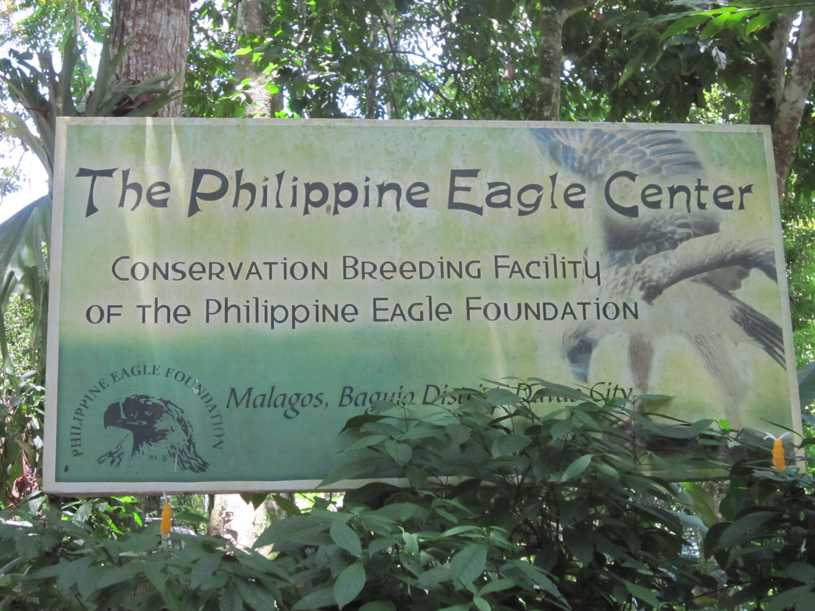 Biyaheng Davao: Philippine Eagle Center