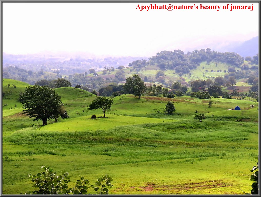 Vadodara Nature & Adventure Club - Nature & Adventure Explorers ...