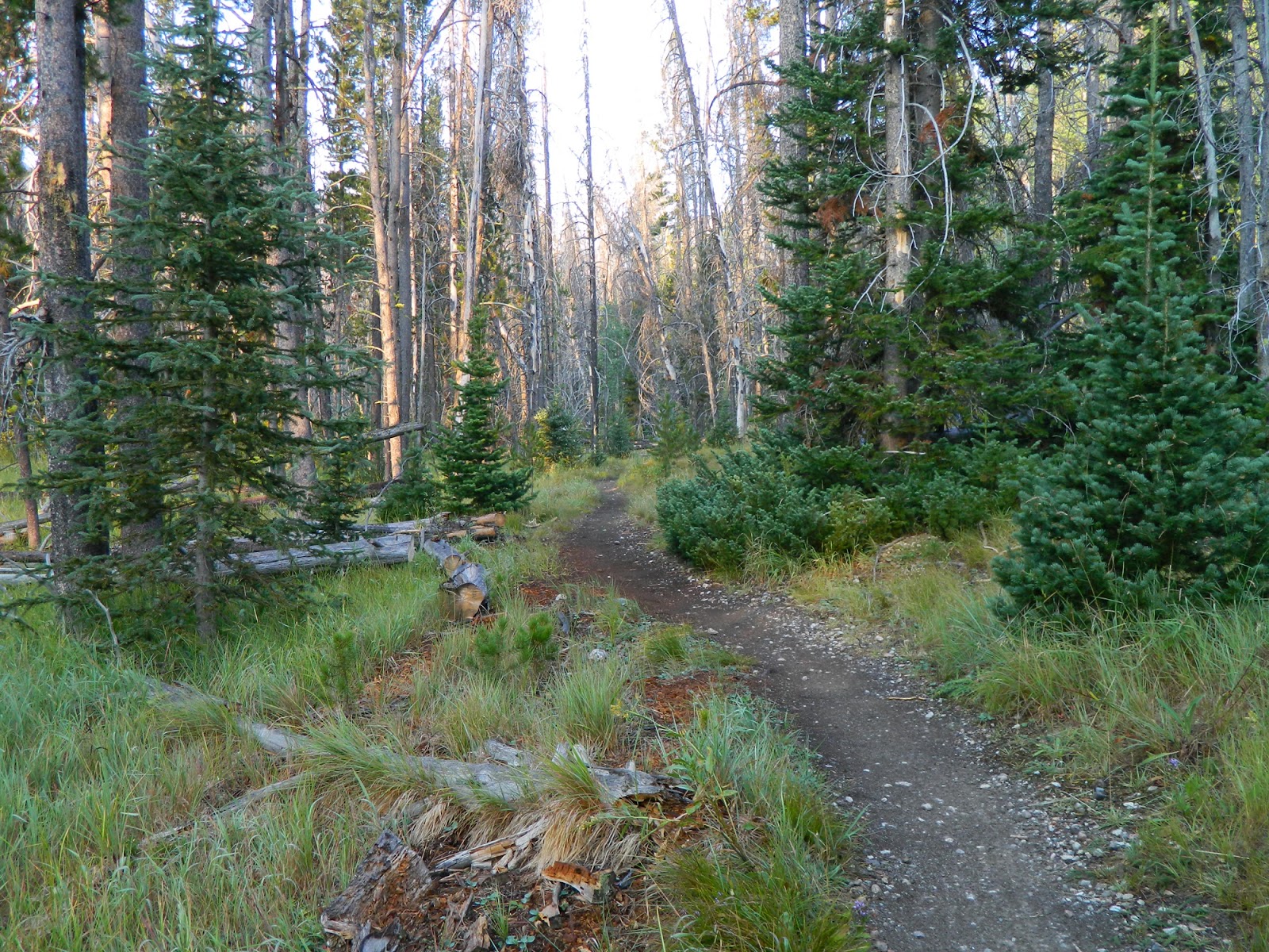 Living in Idaho: Fishhook Creek Trail, Redfish Lake Trailhead