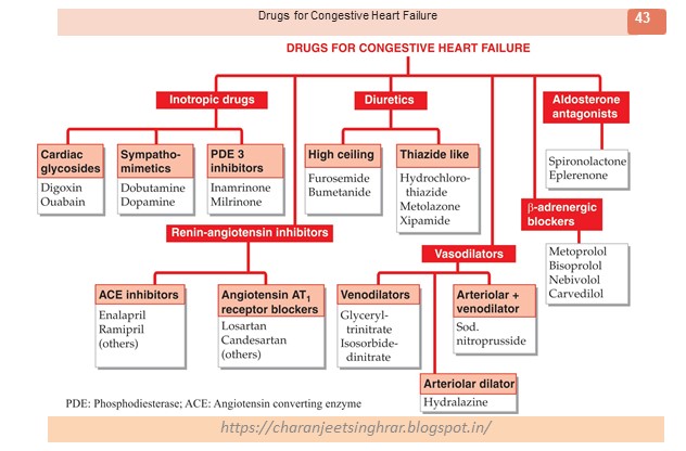Pharmacological Classification of Drugs