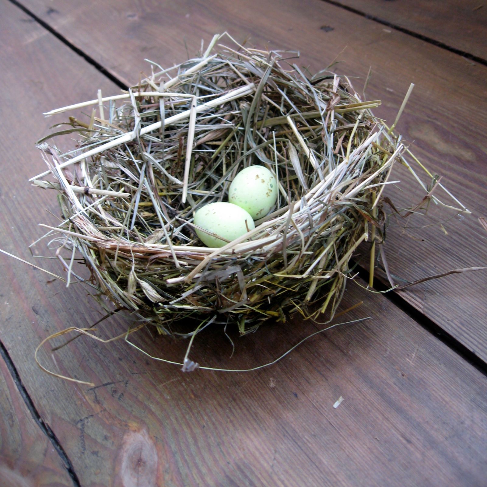 smørbrød_syltetøy: osternest