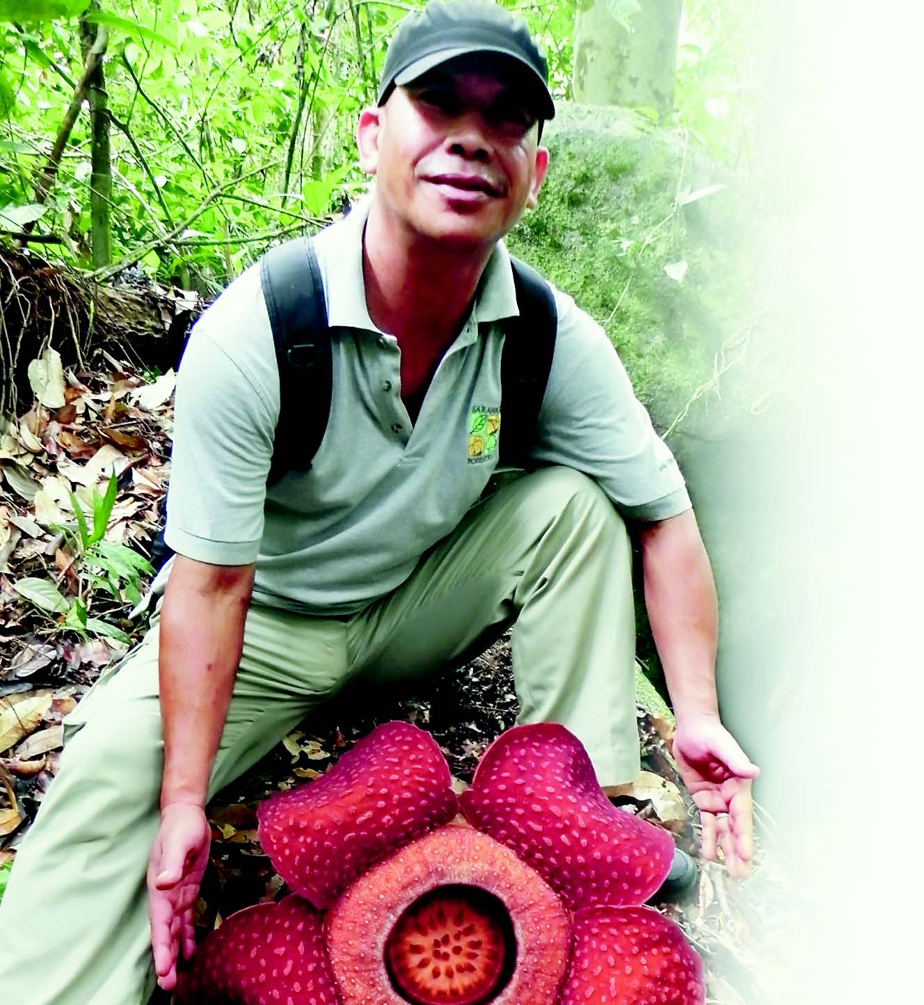 Malaysian Nature Society Kuching Branch: Iconic Rafflesia