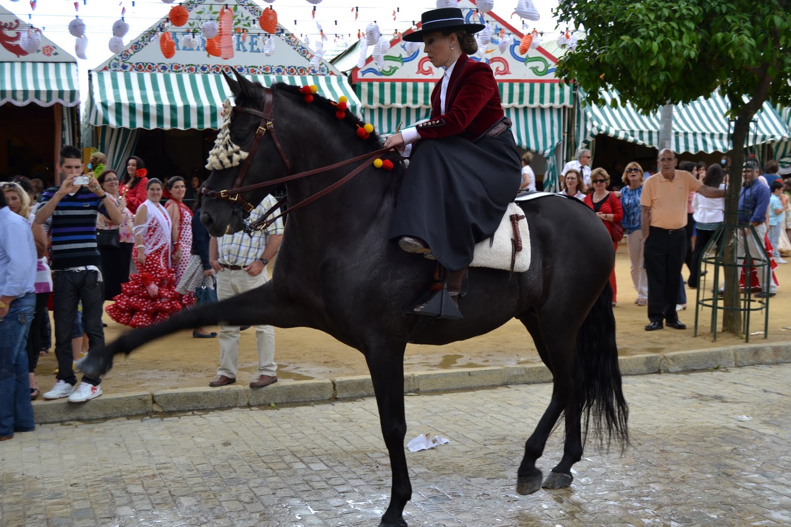 ANDALUSIANS DE CALDERON