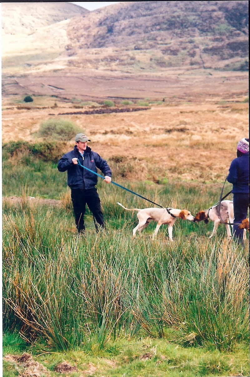 Kerry Beagle Association: Blast From The Past