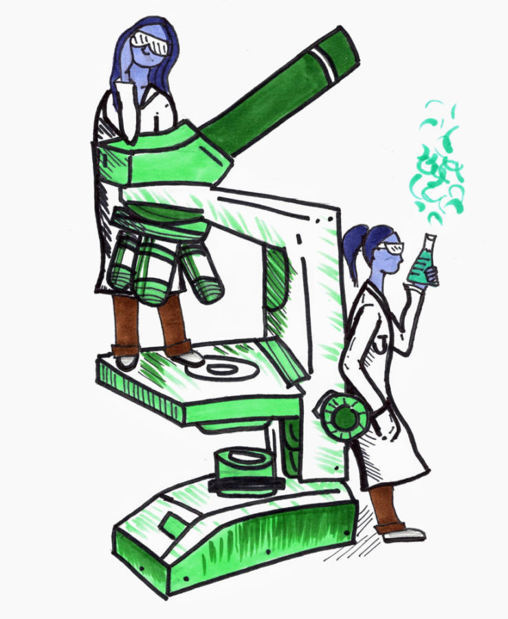 Helge Scherlund's eLearning News: Women in STEM initiatives push flawed ...