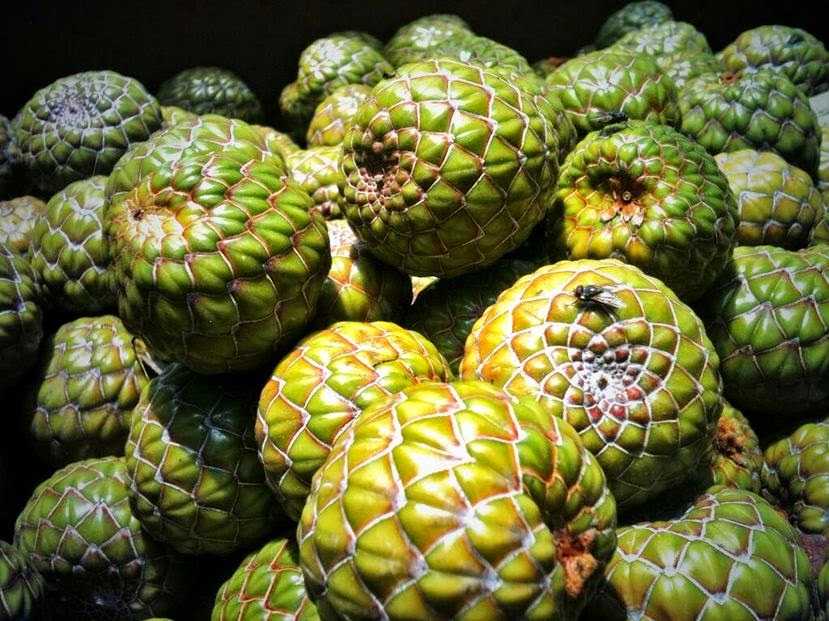 Yakin Sudah Pernah Makan Semua? 34 Macam Buah Langka Asli Indonesia ...