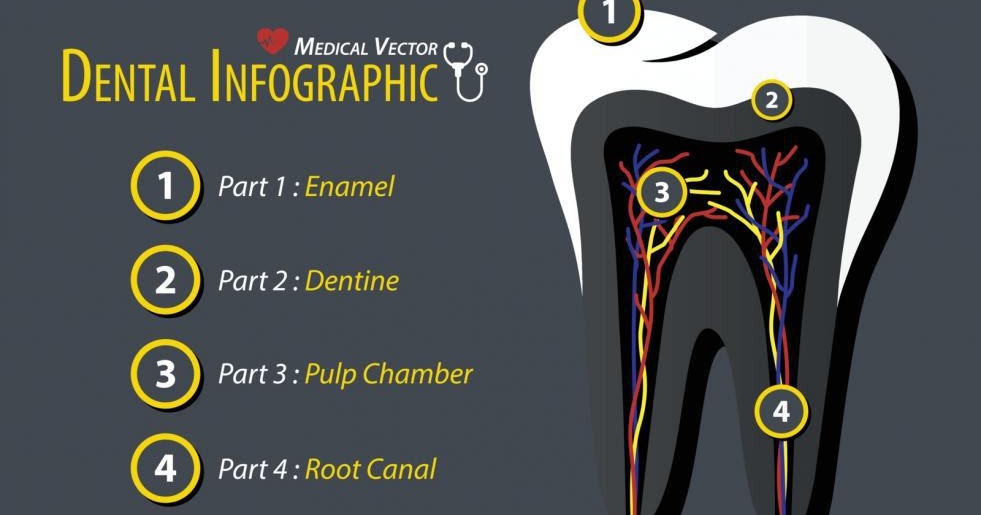 The Ultimate Guide for Root Canals