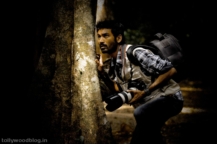 Dhanush's Mayakkam Enna Movie new Gallery |Tamil Cinema News Updates ...