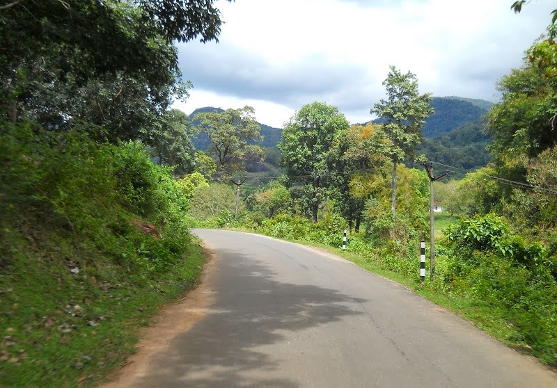 Kalikesam - JungleKey.in Image